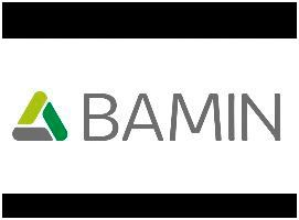 BAMIN - Bahia Mineração S/A | GRI Institute